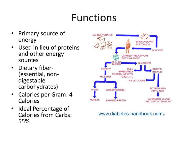 Nutrition Slideshow | PPT
