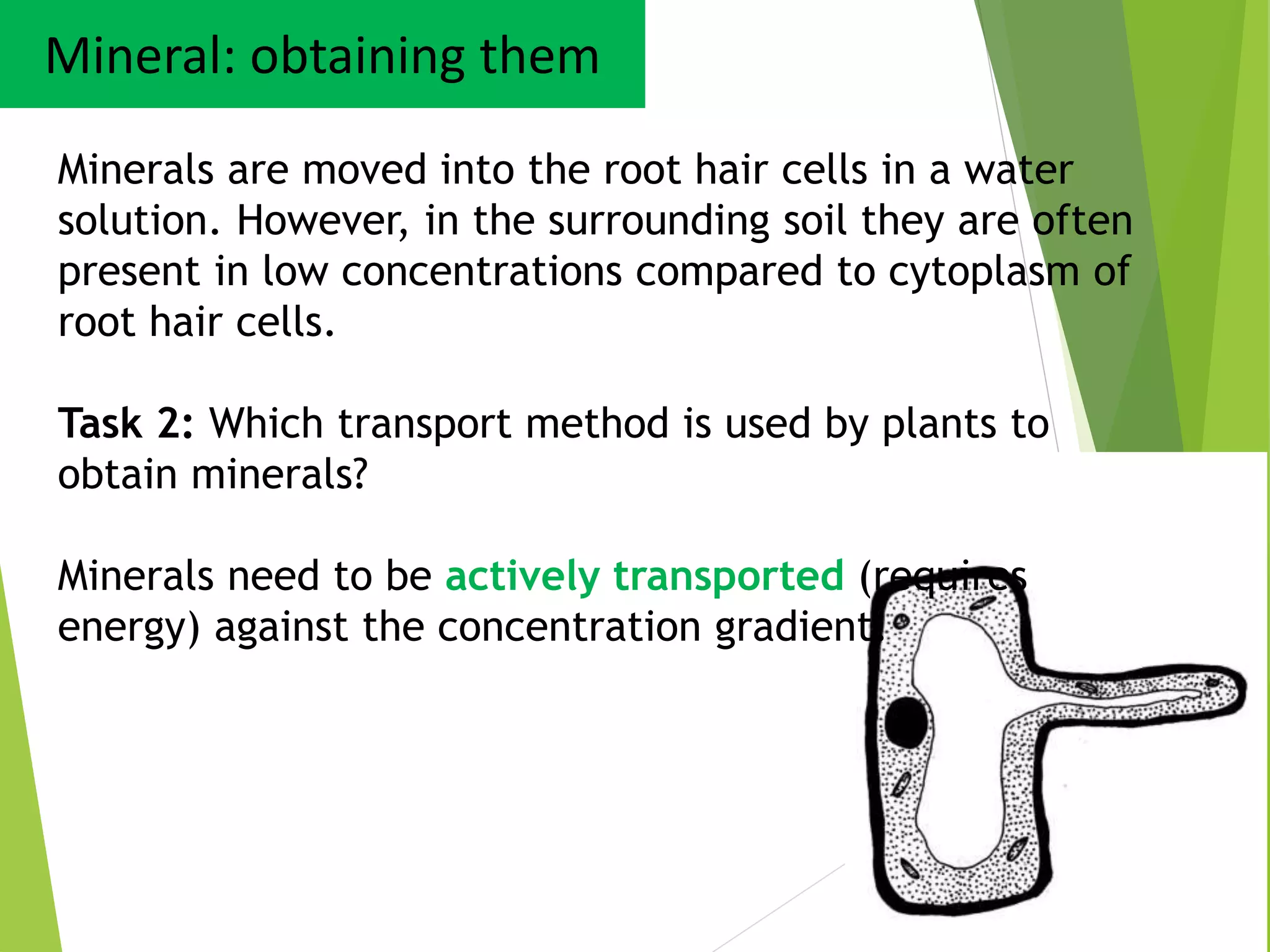 minerals (1).ppt