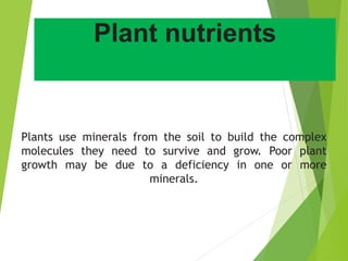 minerals (1).ppt