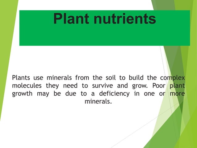 minerals (1).ppt