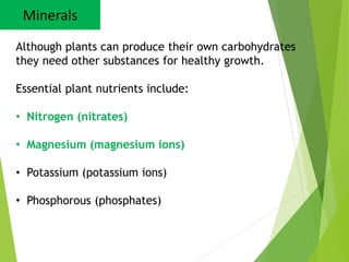 minerals (1).ppt