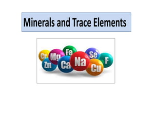 Minerals and trace elements introduction | PPTX