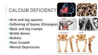 Minerals by Sehrish Ibrar.pptx