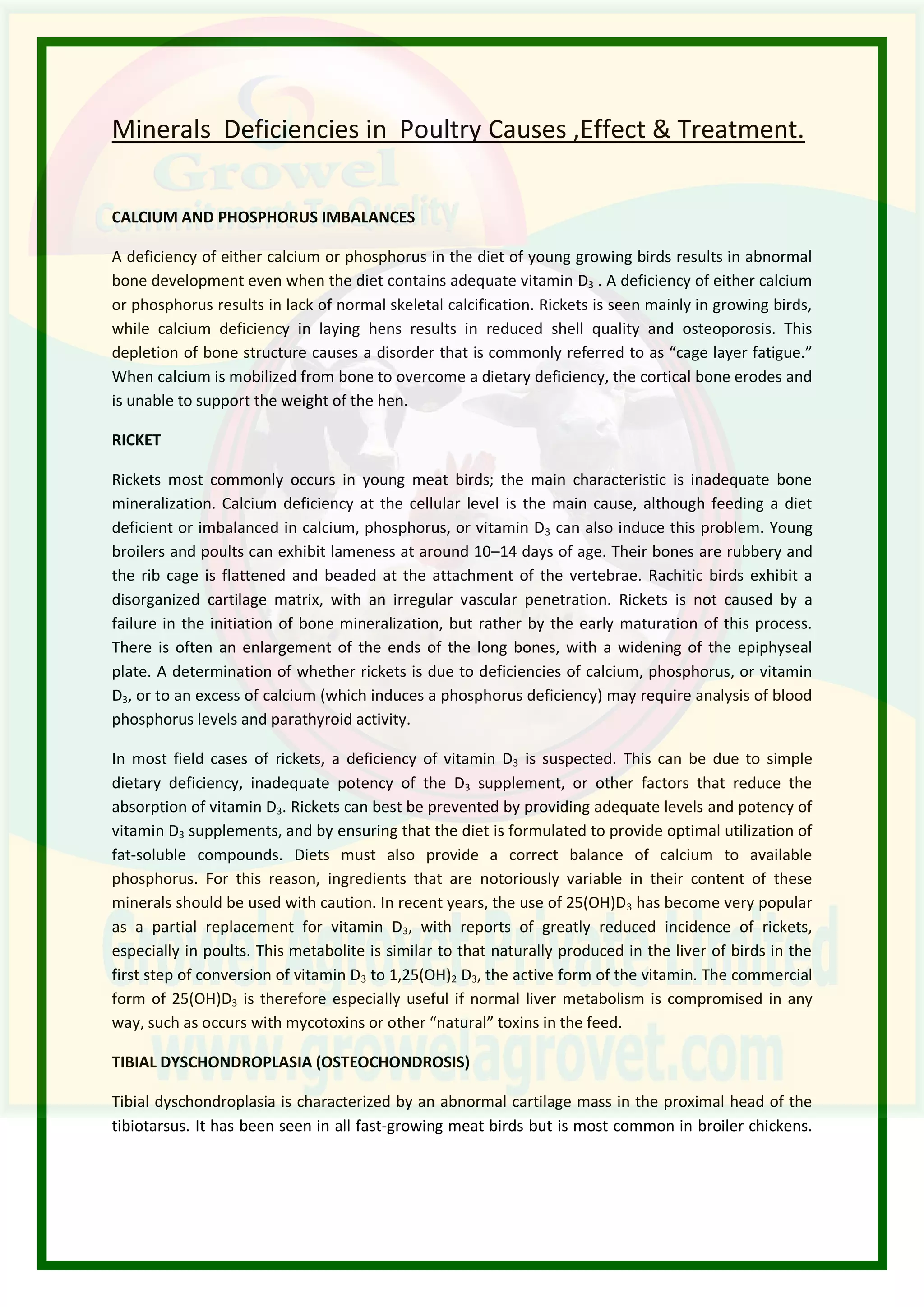 Minerals Deficiencies in Poultry Causes ,Effect & Treatment. | PDF