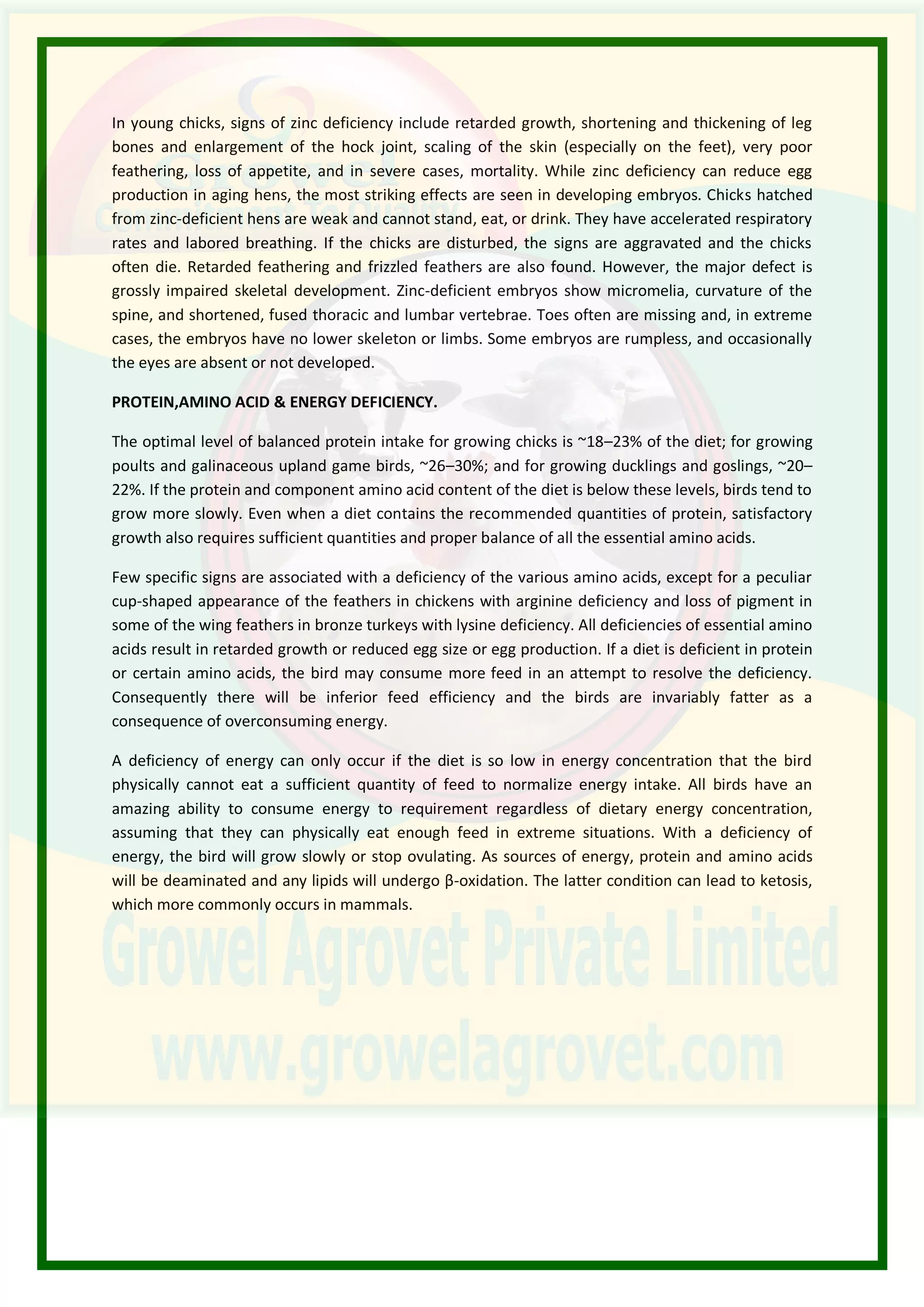 Minerals Deficiencies in Poultry Causes ,Effect & Treatment. | PDF