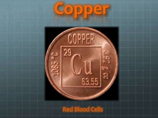 Minerals in the human body | PPTX