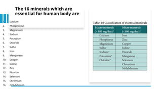 Calcium & Iron – Vital Minerals for Bone Health & Blood Formation | PPTX