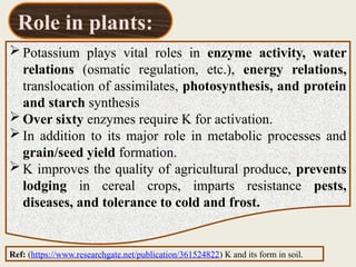 Mineral Source of Potassium in Soil & Role of Potassium Containing ...