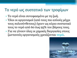 Minerals&water | PDF