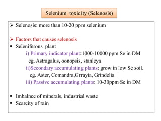 Mineral toxicity ppt | PPTX