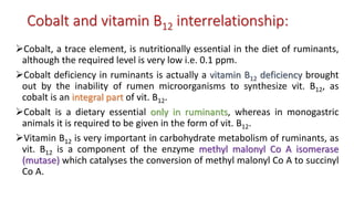 Mineral vitamin interrelationship | PPTX | Blood Disorders | Diseases ...