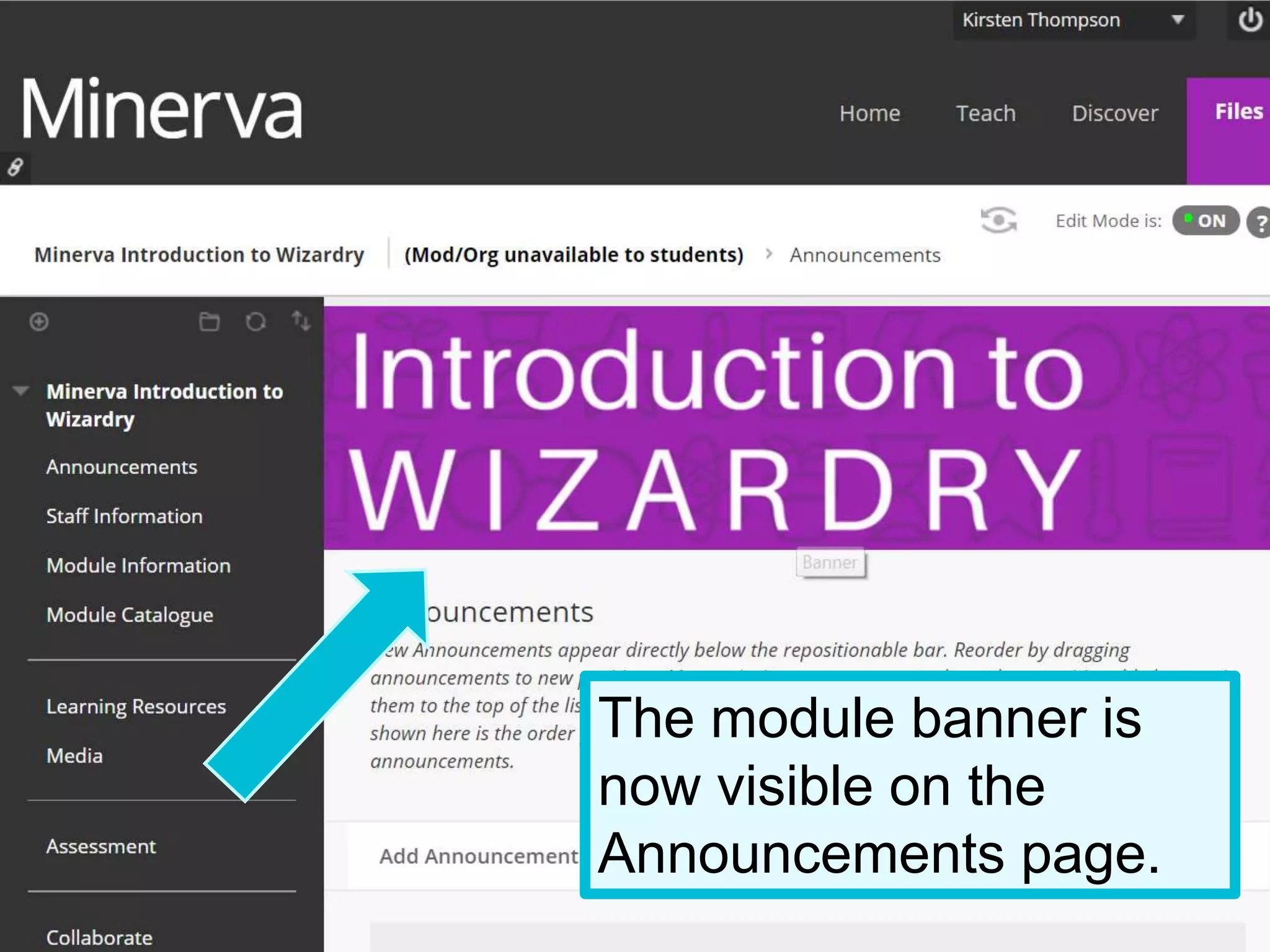 Introduction to customising your module area | PPT