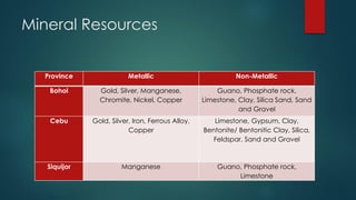 Mines and GeoScience Bureau - Region 7 Philippines | PDF