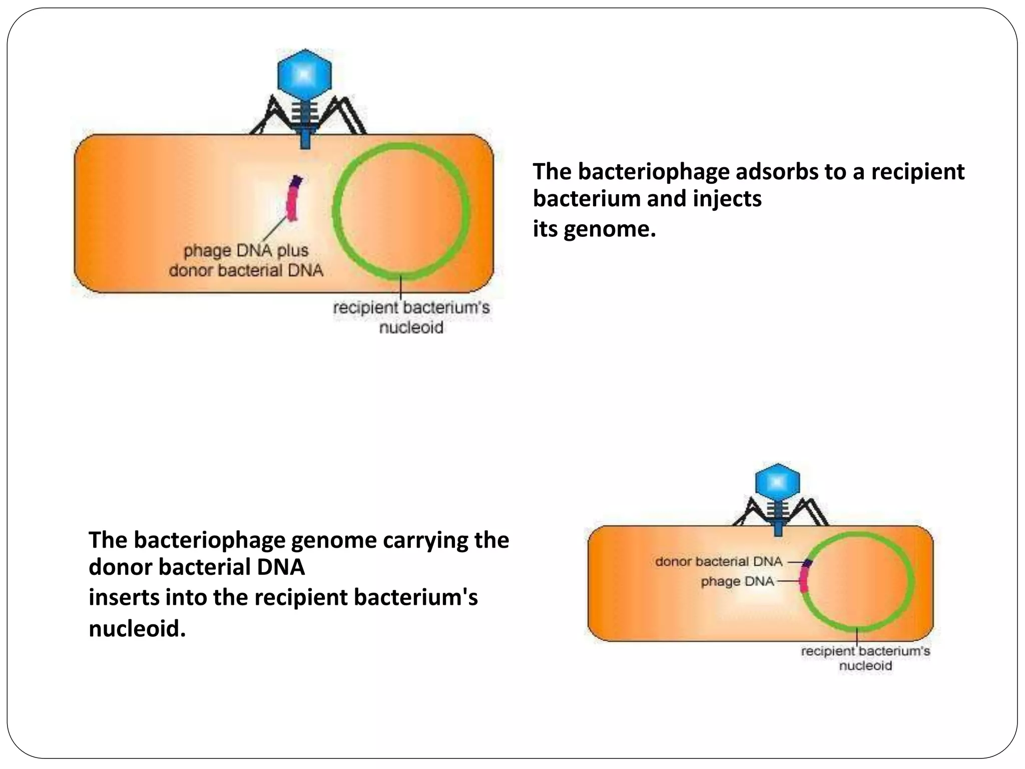 transduction | PPTX