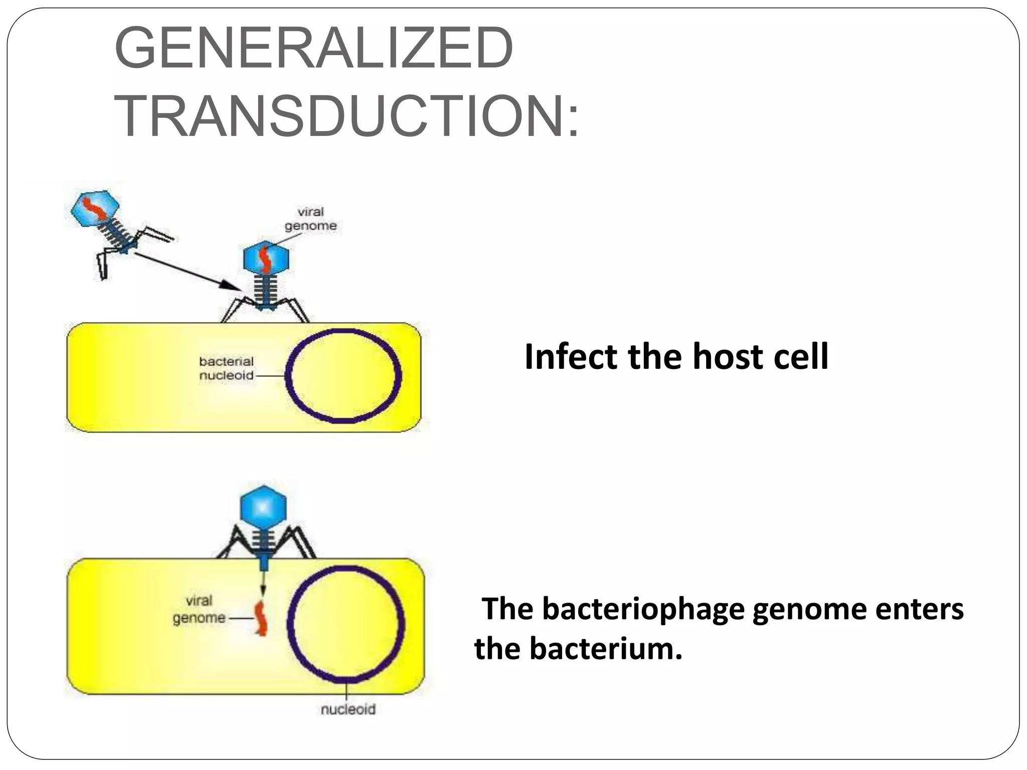 transduction | PPTX