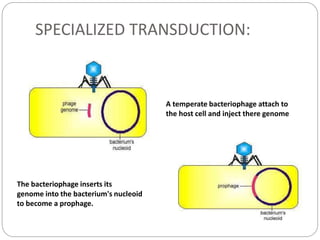 transduction | PPTX