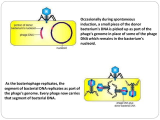 transduction | PPTX
