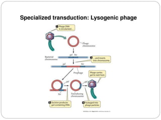 transduction | PPTX