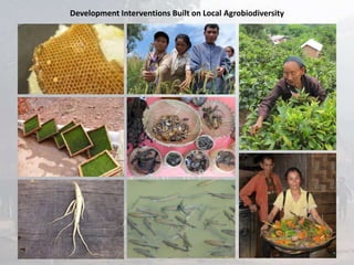 The Agro-Biodiversity Initiative (TABI): Landscape planning and ...