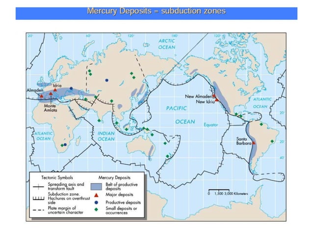 Minggu 13 metamorfosa & klasifikasi | PPT