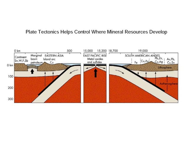Minggu 13 metamorfosa & klasifikasi | PPT