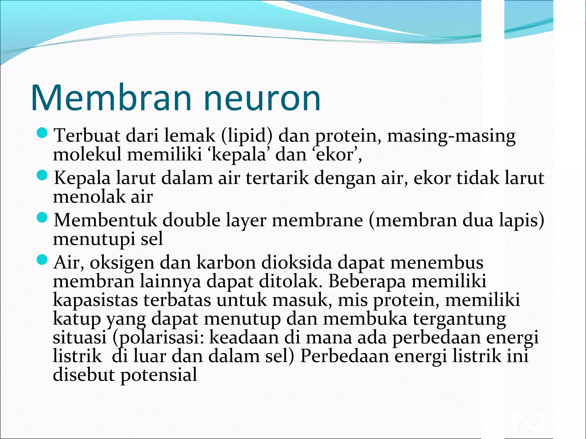 Minggu 2 struktur neuron | PPT