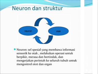 Minggu 2 struktur neuron | PPT