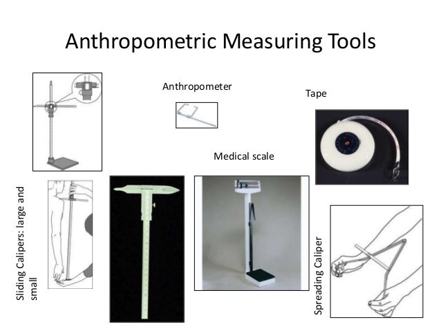 Minggu4 anthropometry