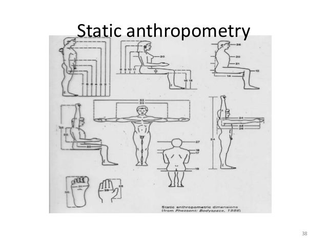 Minggu4 anthropometry