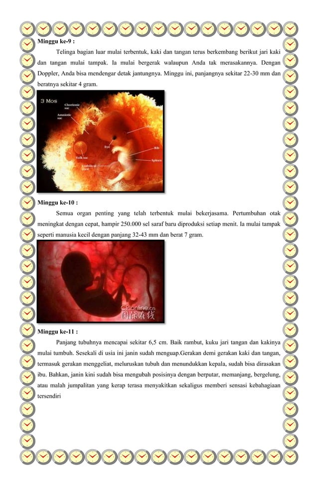 TAHAP PERKEMBANGAN JANIN | DOCX