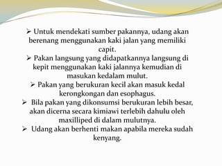 Minggu ke 4 t.p. udang penaeid vannameii | PDF