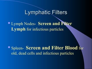 sistem limfatik | PPT