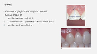 MINI-ESTHETICS AND MICRO-ESTHETICS.pptx