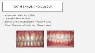 MINI-ESTHETICS AND MICRO-ESTHETICS.pptx
