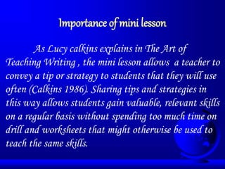 Mini lesson plan | PPTX