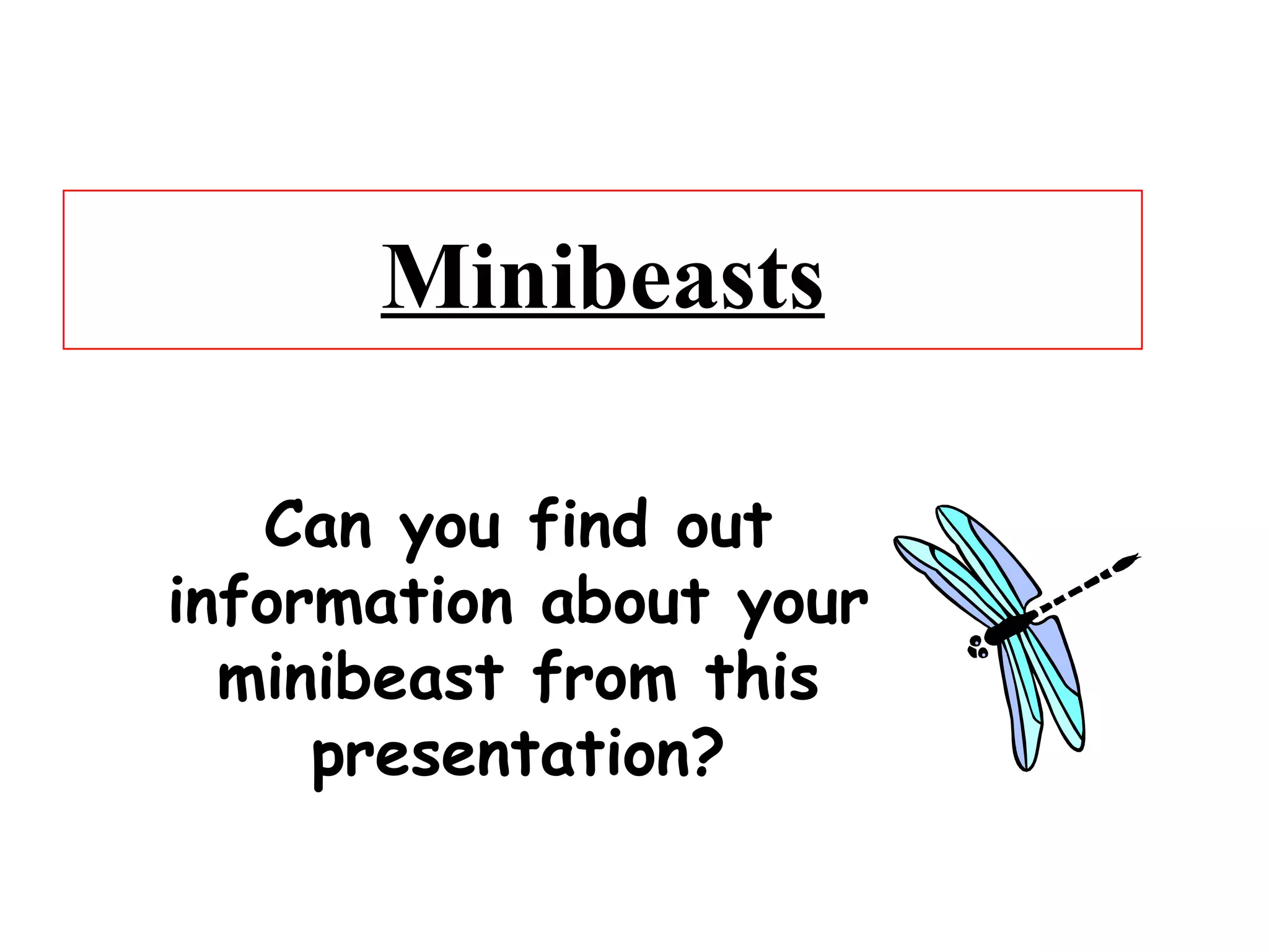 Minibeasts | PPT