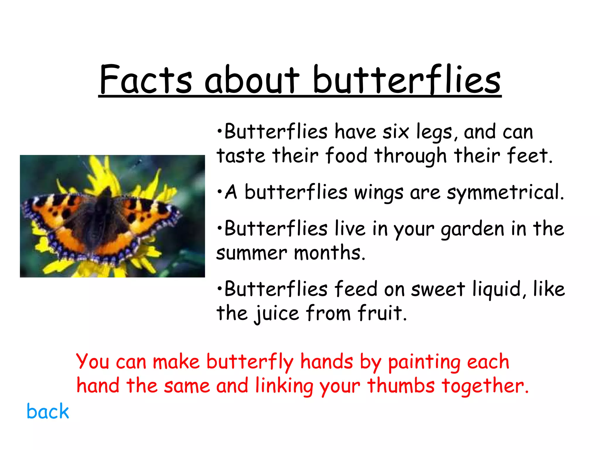 Minibeasts | PPT
