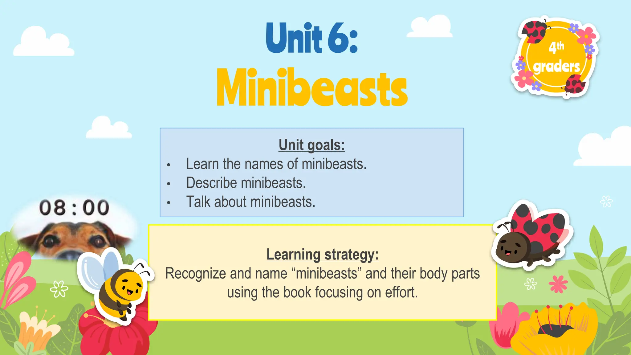 Minibeasts.ppt para todos los niños del mundo | PPTX | Beekeeping ...