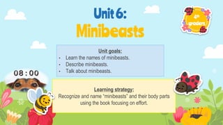 Minibeasts.ppt para todos los niños del mundo | PPT