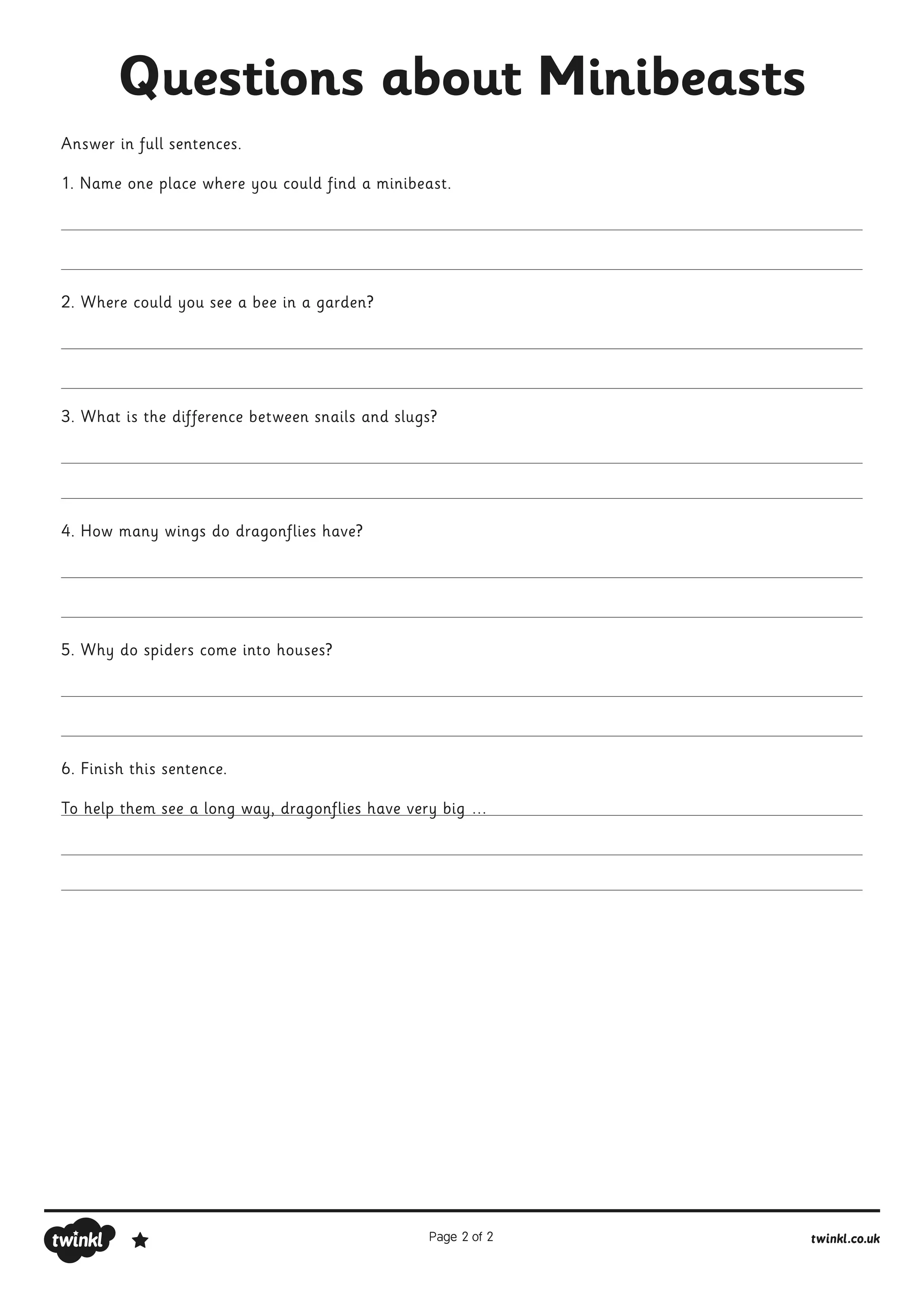 Minibeasts differentiated-reading-comprehension-activity-pages-1-3 | PDF