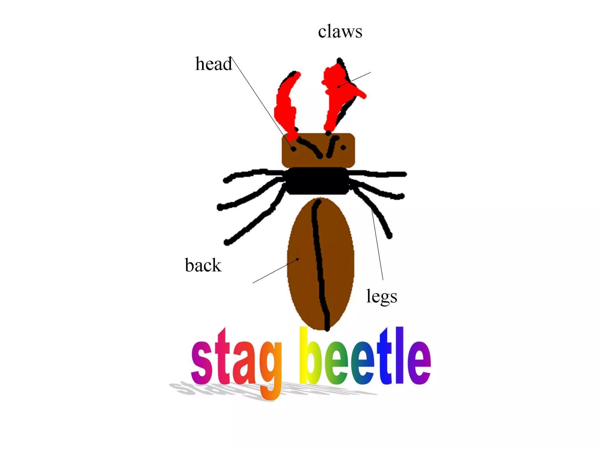 Minibeast’s Body Parts | PPS