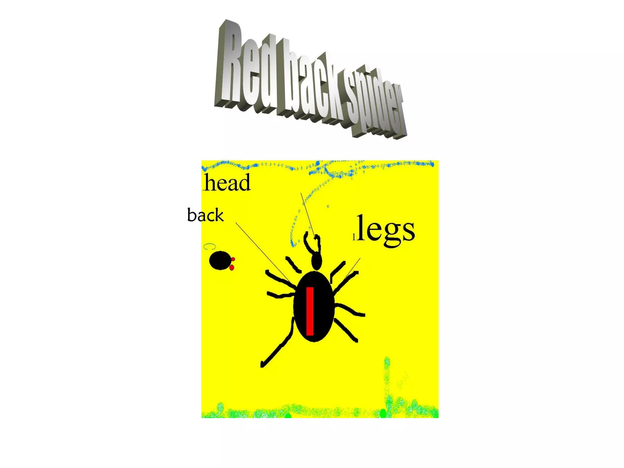 Minibeast’s Body Parts | PPS