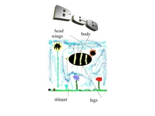 Minibeast’s Body Parts | PPS