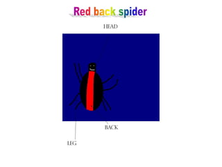 Minibeast’s Body Parts | PPS