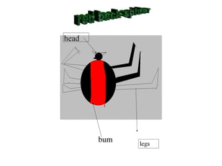 Minibeast’s Body Parts | PPS