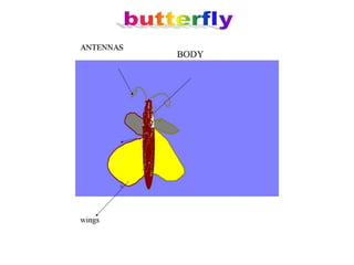 Minibeast’s Body Parts | PPS