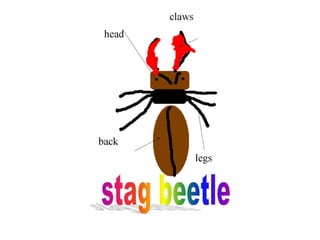 Minibeast’s Body Parts | PPS