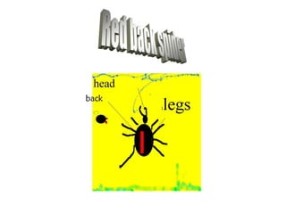 Minibeast’s Body Parts | PPS