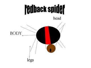 Minibeast’s Body Parts | PPS