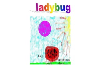 Minibeast’s Body Parts | PPS